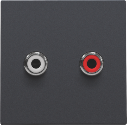 Finishing set with 2 cinch audio connections, also for flush mounting ...